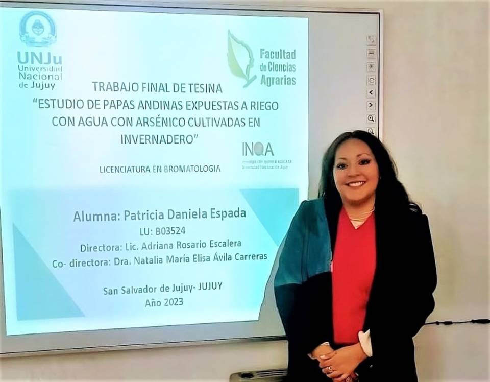 Una tesis de grado reveló propiedades de la papa andina